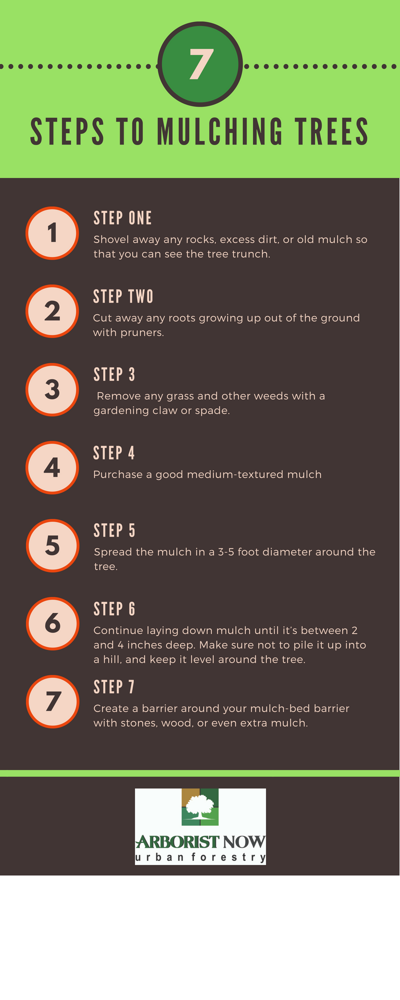 How to Properly Mulch Around Your Trees - Arborist Now